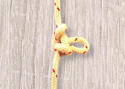 Alpine Butterfly - Mid-line Knots - Arbtalk | The Social Network For ...