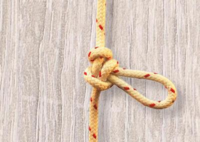 Moth - Mid-line Knots - Arbtalk | The Social Network For Arborists