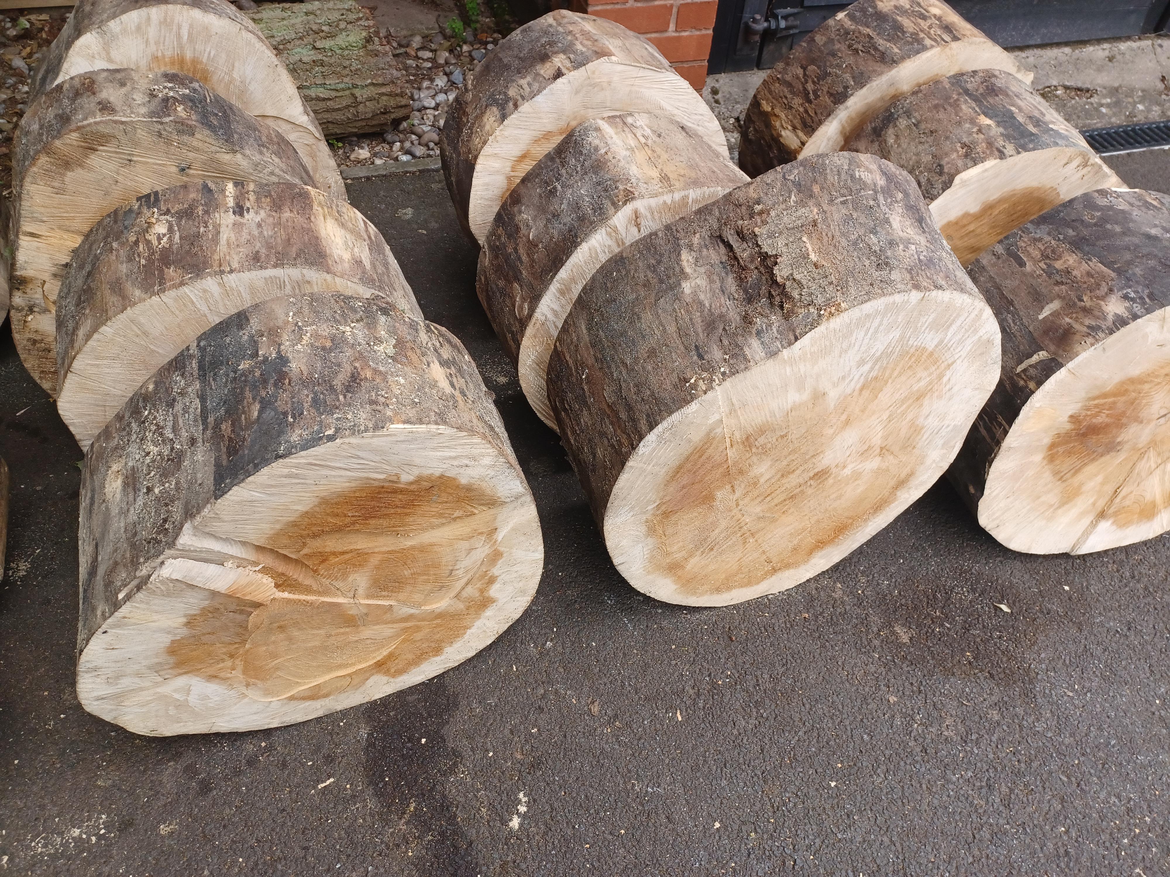 Tree ID please - Tree Identification pictures - Arbtalk | The Social ...