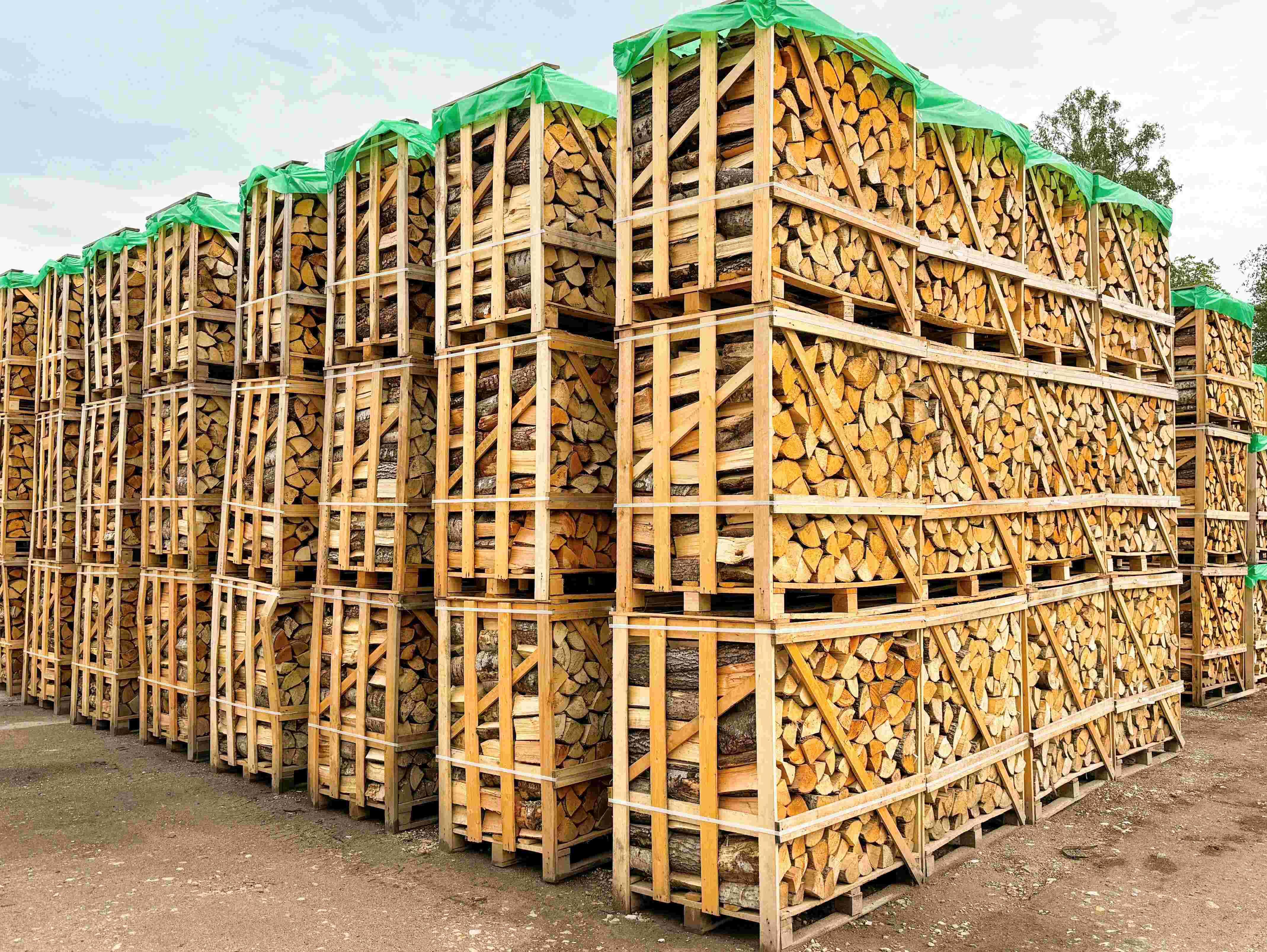 Premium kiln-dried birch logs wholesale - Timber Sales - Arbtalk | The ...